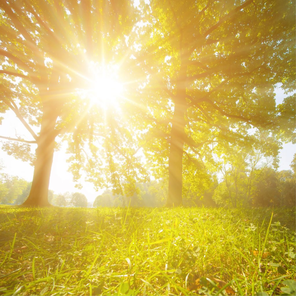 Circadian & Human Centric Lighting - Vexica Technology